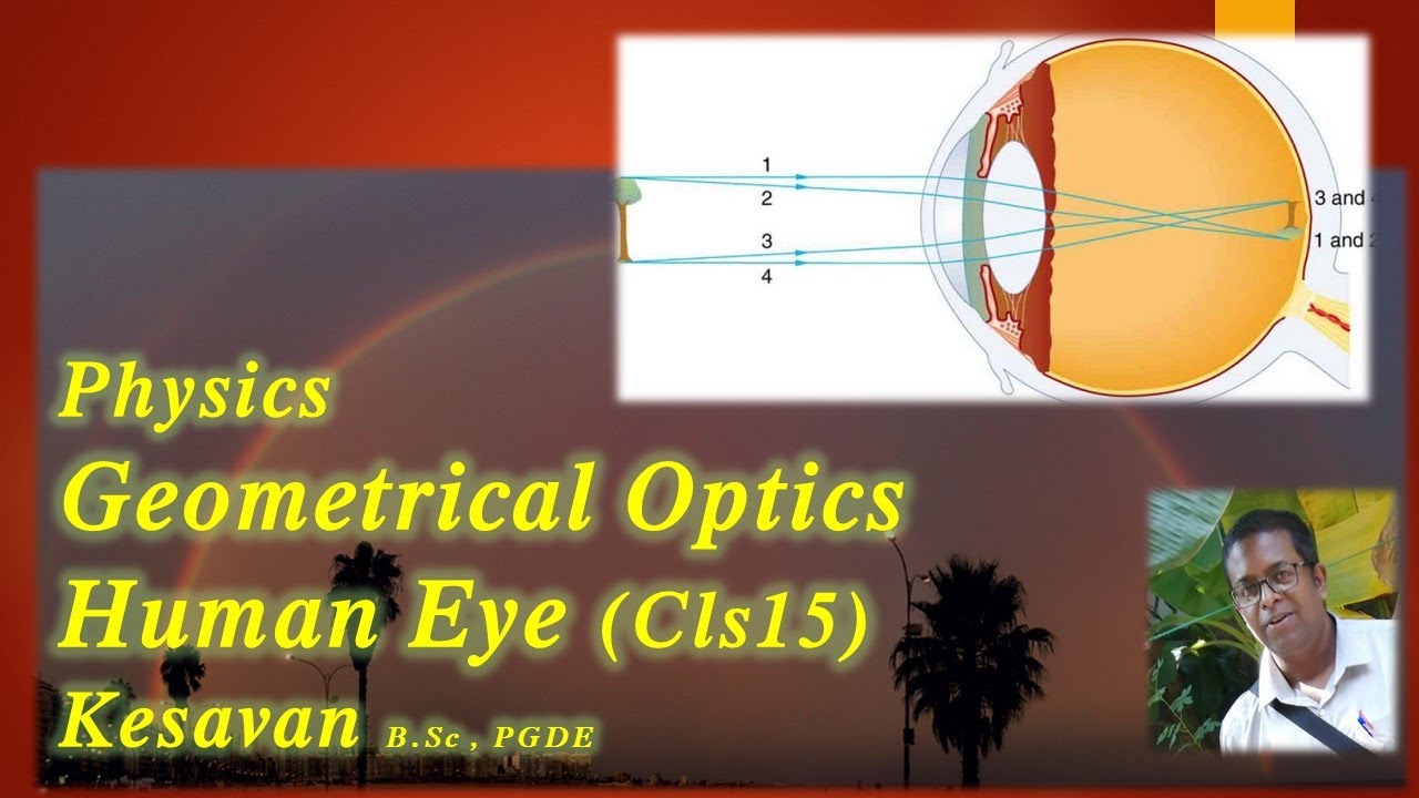 Physics / Waves / Geometric Optics / Human eye cls 01 - YouTube