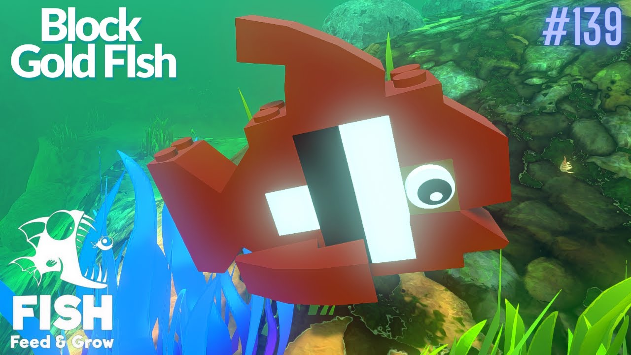 Feed And Grow Fish : Block Gold Fish - YouTube