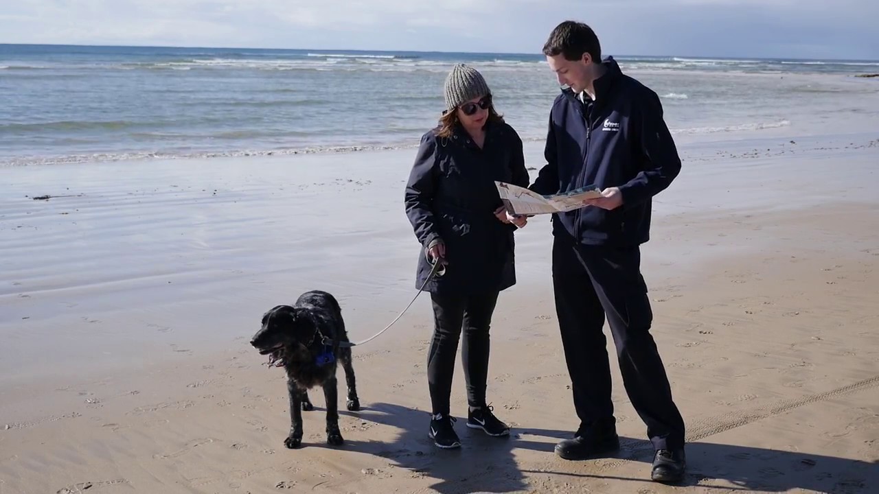 Local Laws Officer Luke talks about pet ownership - YouTube