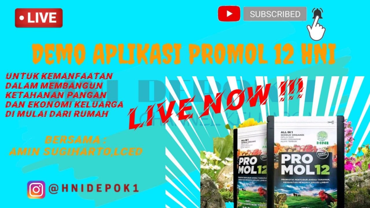 ( Part 1 ) DEMO APLIKASI PROMOL 12 HNI - HALAL NETWORK INTERNATIONAL ...