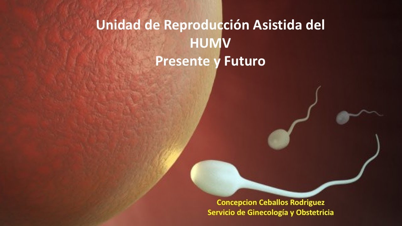 Unidad de Reproducción Asistida del HUMV - YouTube