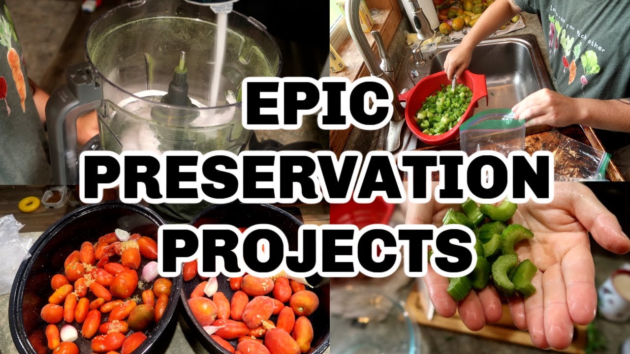 MASSIVE PRESERVATION PROJECTS | CELERY SALT, TOMATO SAUCE & MORE - YouTube