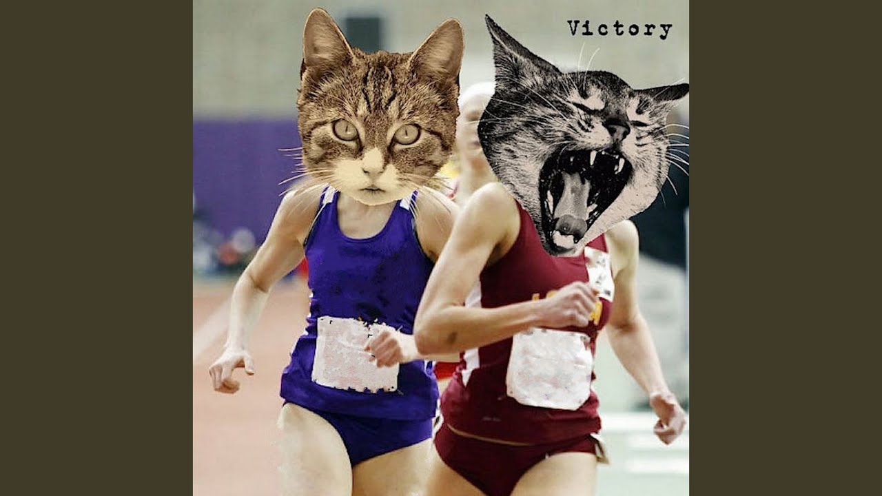 Every Little Victory Counts - YouTube