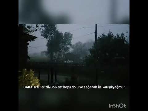 Koyümüz büyük yağış altında.