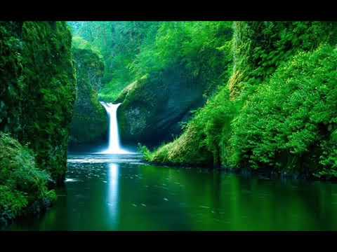 Sonido de agua y pajaros, estudiar, meditar, mente en blanco, pensar, sonidos relajantes
