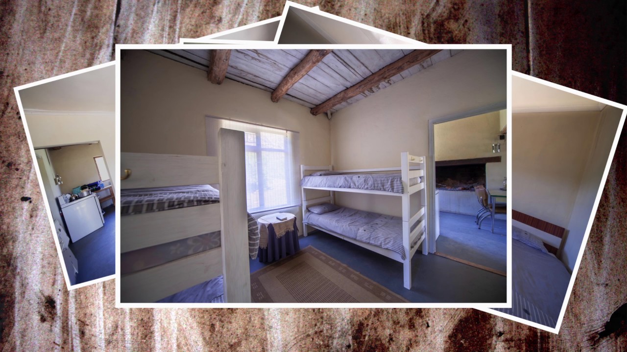 Hadley Guest Farm - YouTube