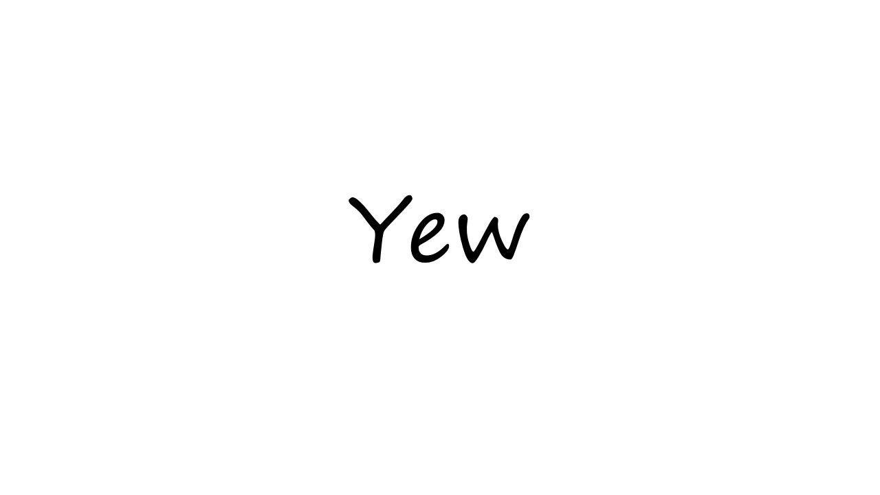 How to Pronounce Yew? - YouTube
