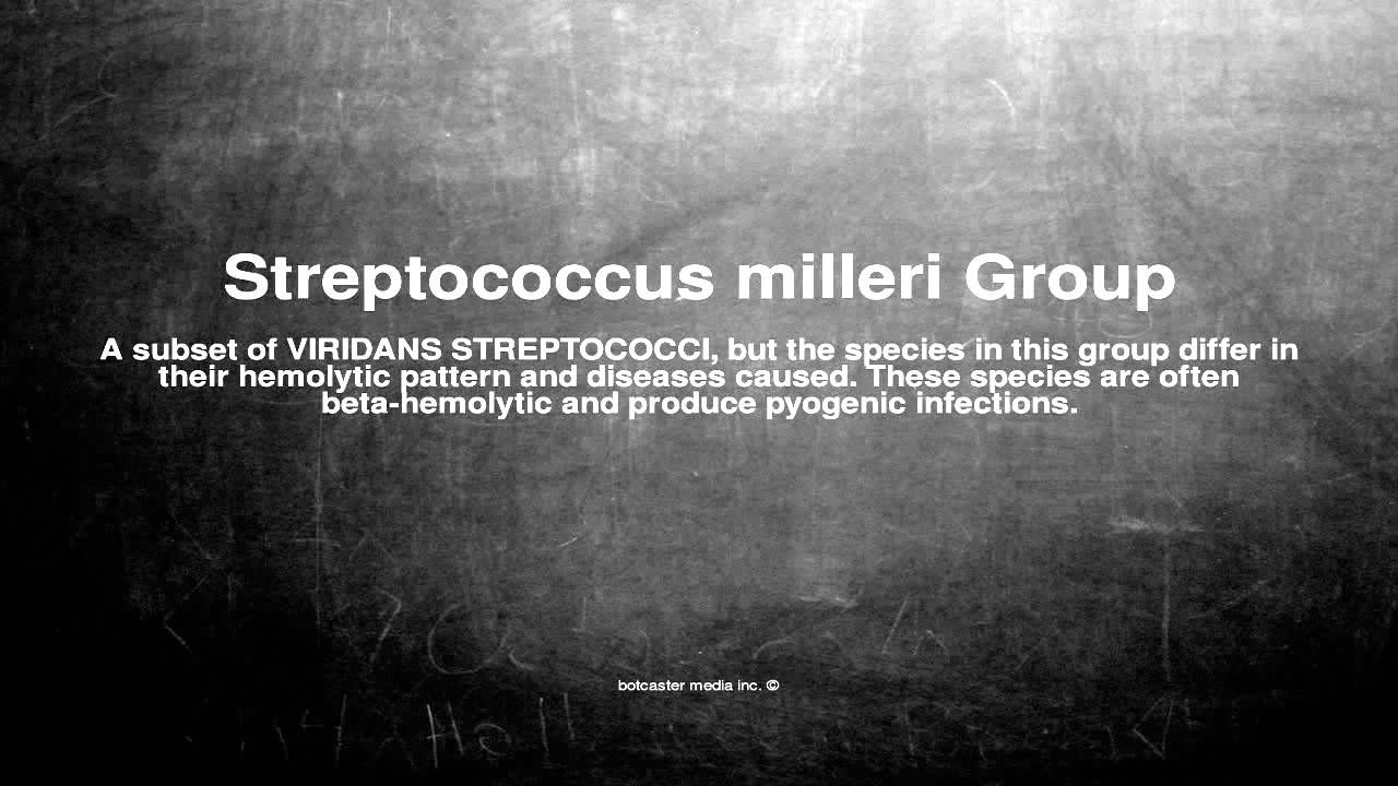 Medical vocabulary: What does Streptococcus milleri Group mean - YouTube