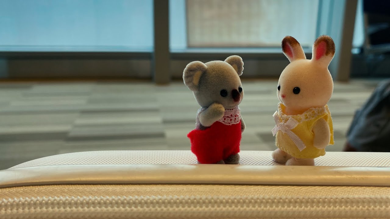 Koala and Rabbit Fly on a Plane | Calico Critters Short Film - YouTube