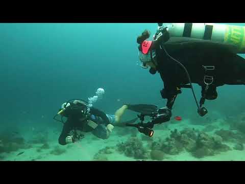 Monkey Beach - Puerto Galera