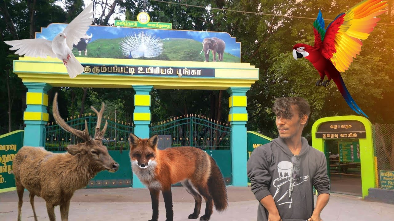 Salem Kuruvampatti Zoo🦄 @r.arjunmedia #salem #india #shorts # ...