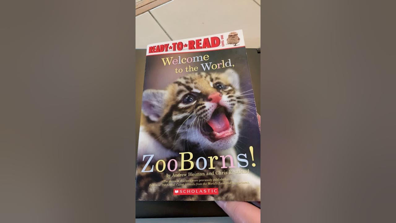 Welcome to the World, Zoo Borns! - YouTube