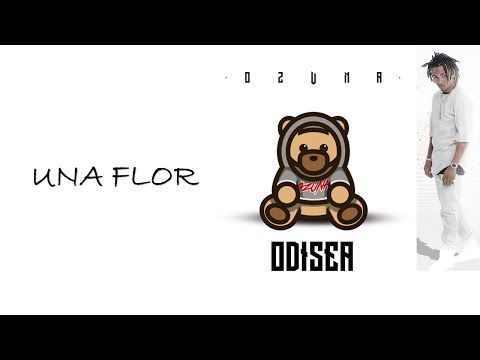 UNA FLOR OZUNA (LETRAS)
