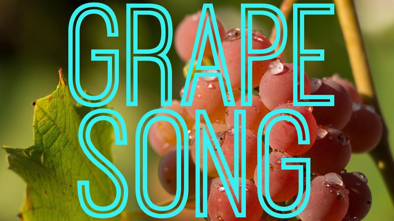 The Grape Song - YouTube