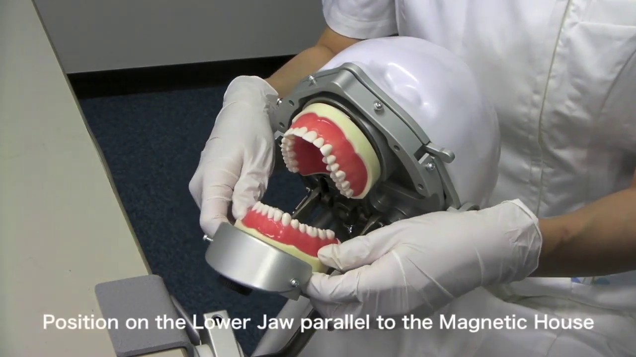 How to attach the typodont to the Trimunt Phantom head - YouTube