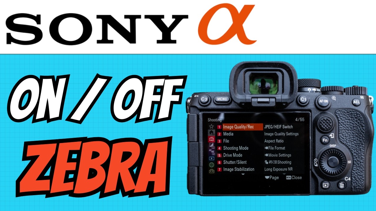 How To TURN ON/OFF Zebra On Sony A7III (QUICK & EASY) 2026 - YouTube