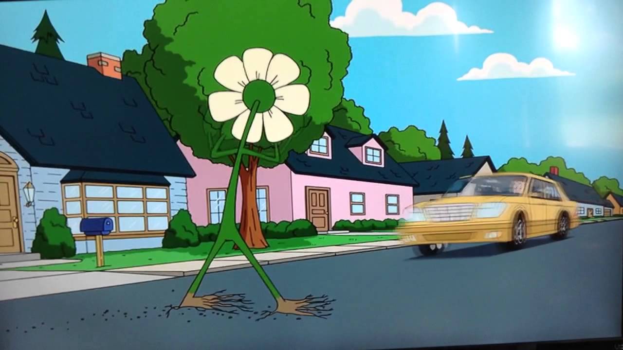 Family guy official flower buisness - YouTube