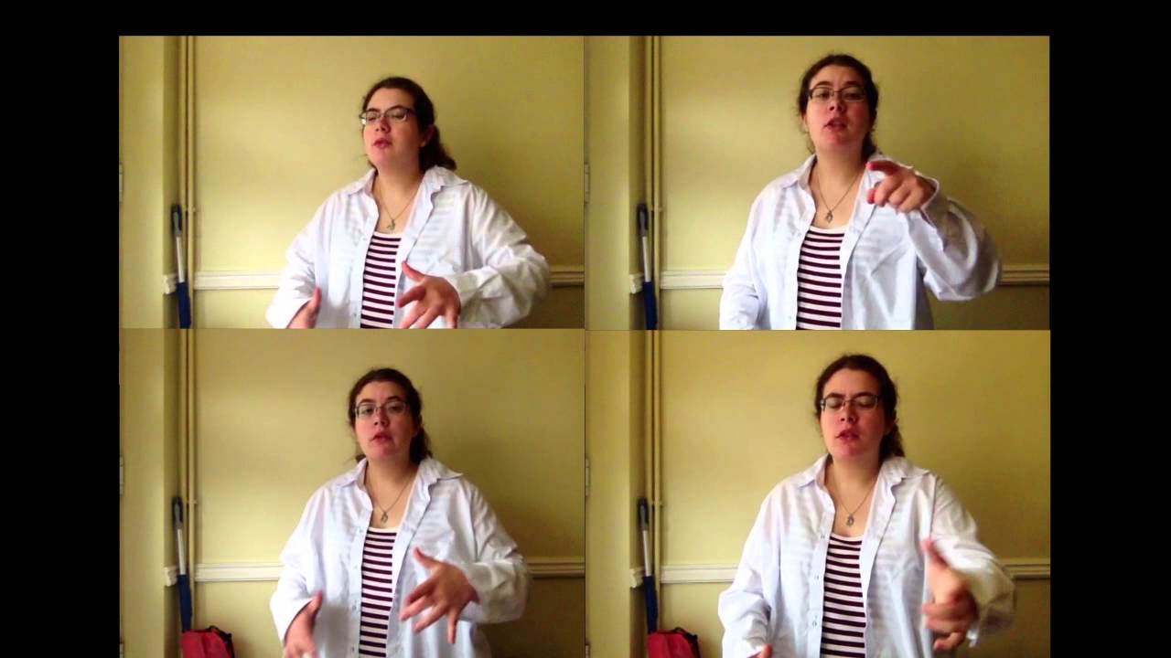 Can you feel the love tonight - BSL - YouTube