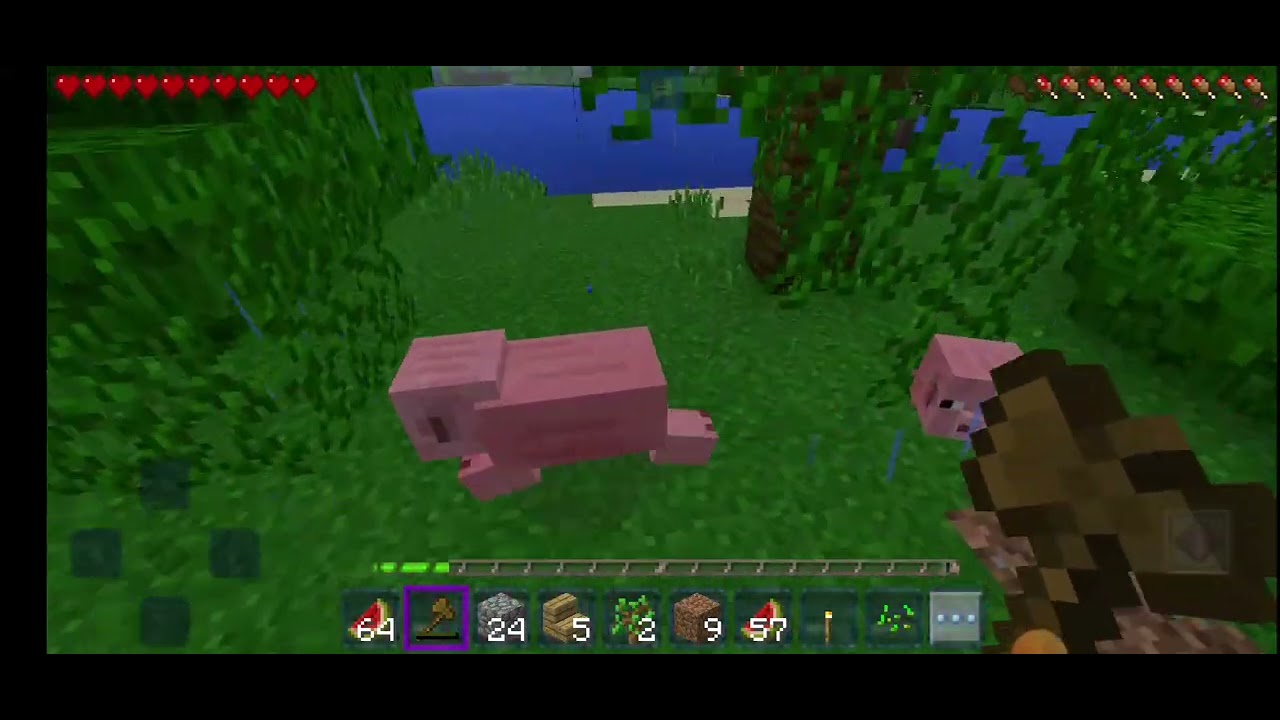 só o que fauta - YouTube