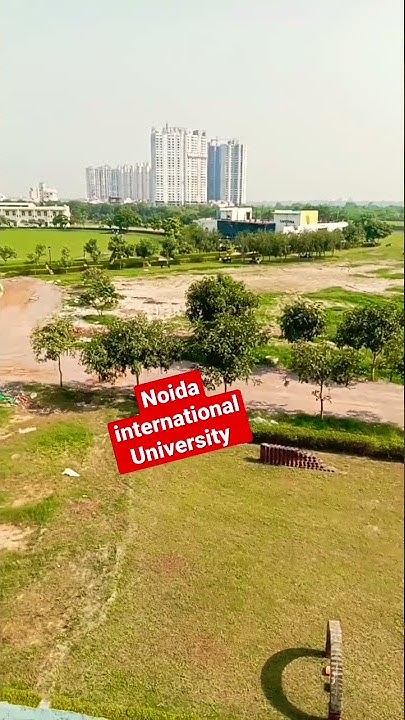 Noida international University NIU College - YouTube