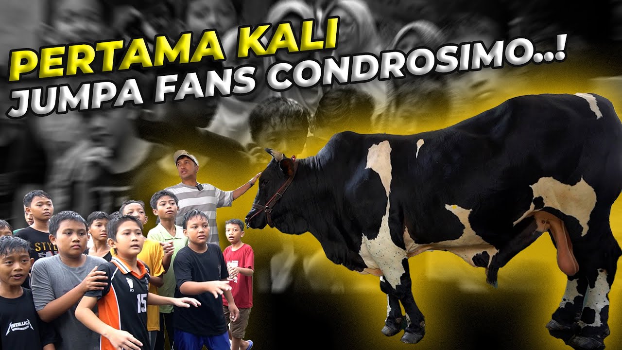 PADA KETAKUTAN SAMA CONDROSIMO PAS JUMPA FANS PERTAMA KALI..! - YouTube