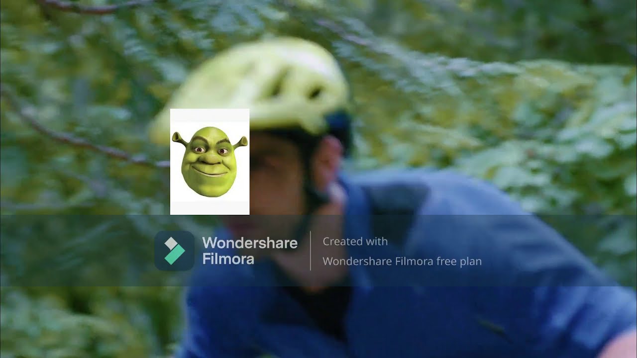 SHREK ON A BIKE - YouTube