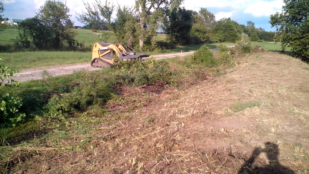 Brush Hogging a Tree with a Compact Track Loader - YouTube