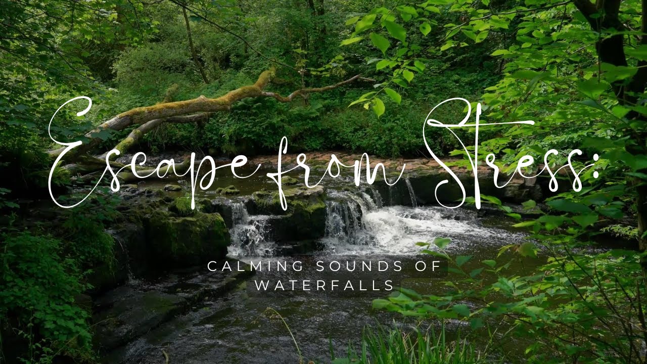 Escape from Stress: Calming Sounds of Waterfalls - YouTube