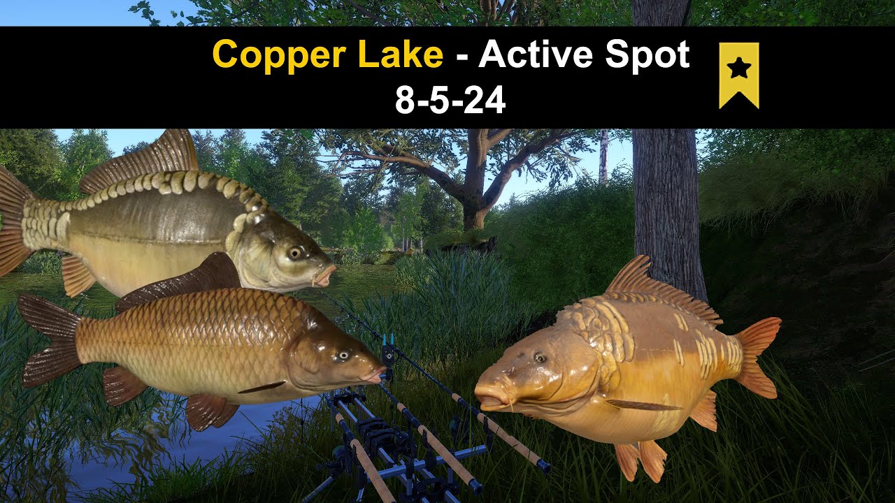 Russian Fishing 4, Copper Lake - Active Spot 8-5-24 - Trophy FI - YouTube