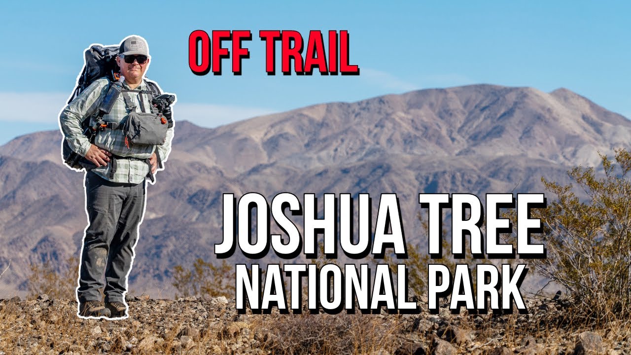 BACKPACKING Off-Trail In Joshua Tree National Park | Pinto Basin | 4K ...