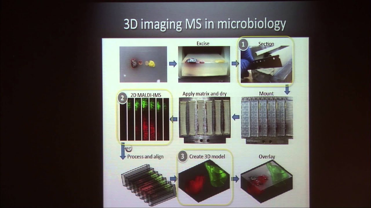 Getting 3D Molecular Snapshots Using Imaging Mass Spectrometry ...