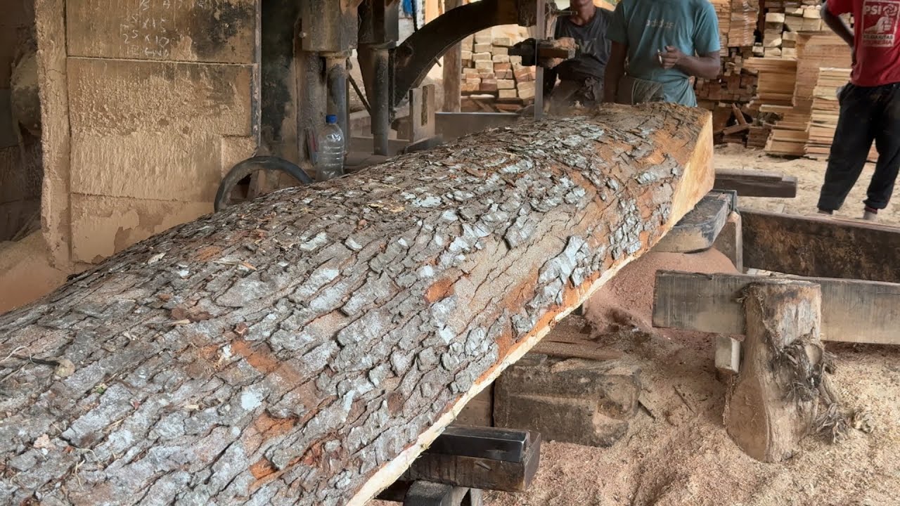 Unleash Your Potential Dive into Hardwood Sawing and Cutting Now! - YouTube