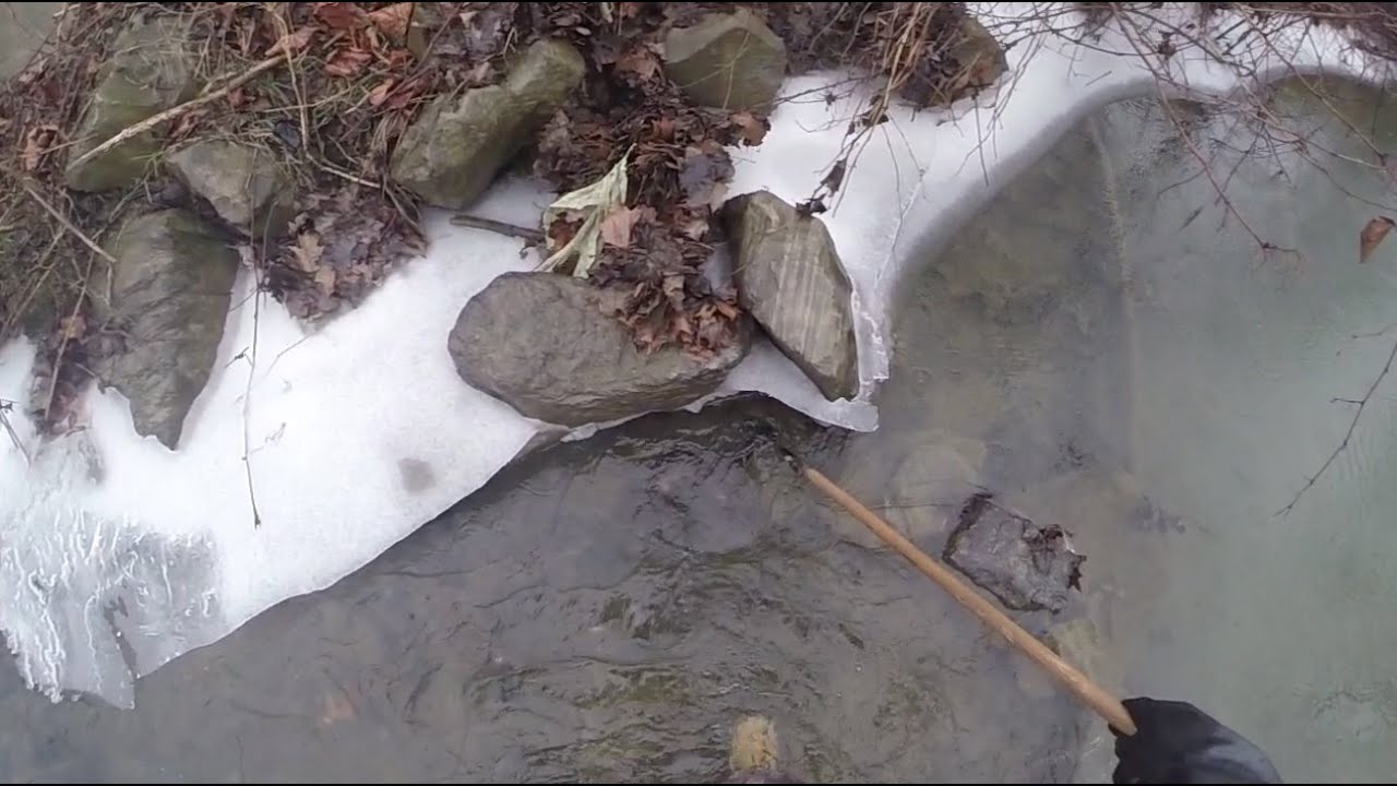 Winter Trapping Ep. 3 : First Mink - YouTube