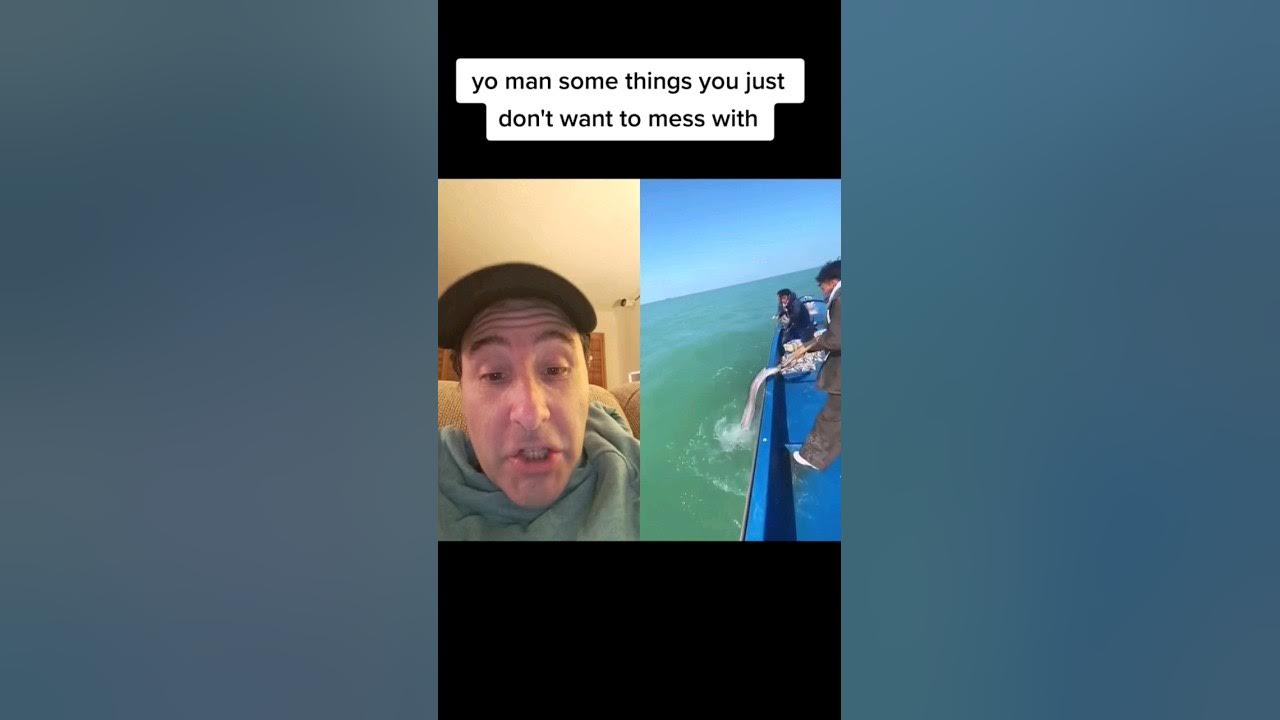 Dude vs eel - reaction - YouTube