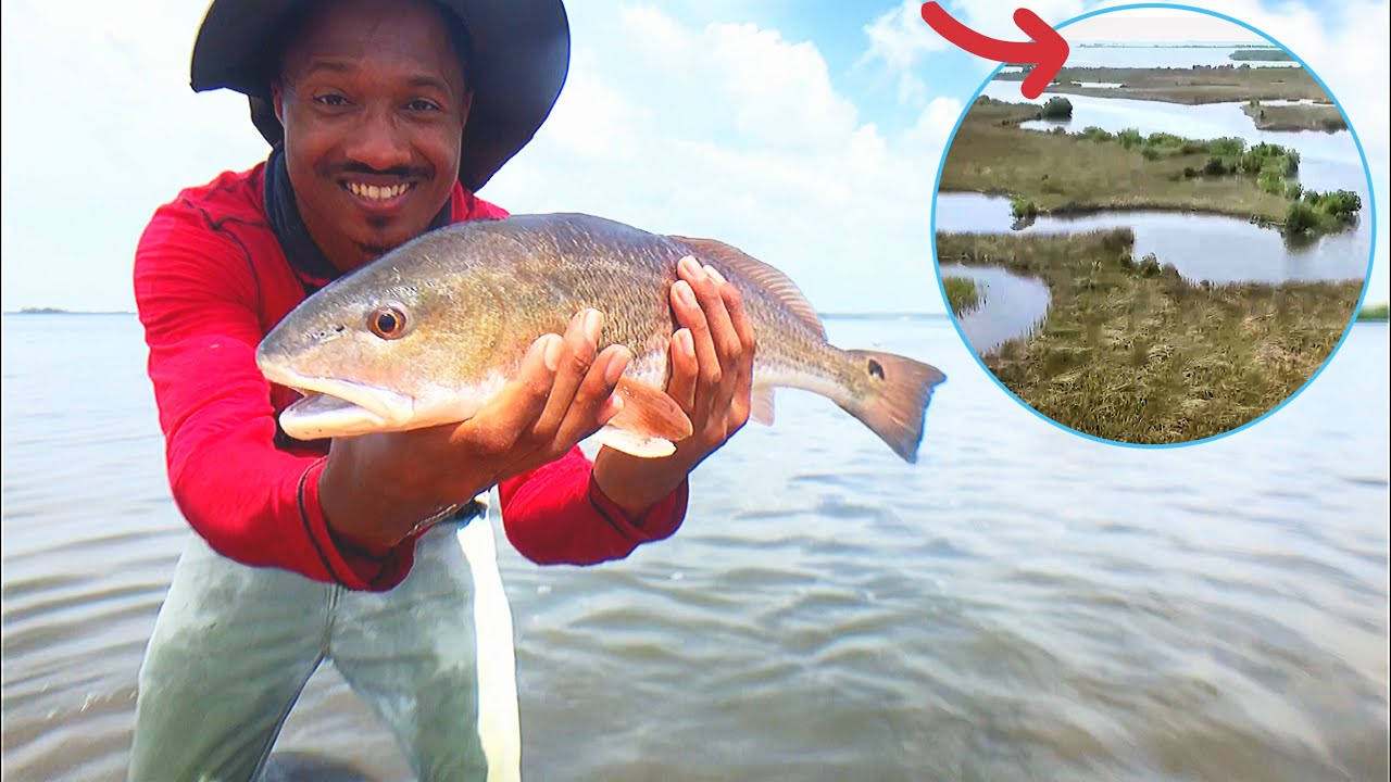 Sight Casting REDFISH on Gumdrop Swimbaits (Inshore Kayak Fishing ...