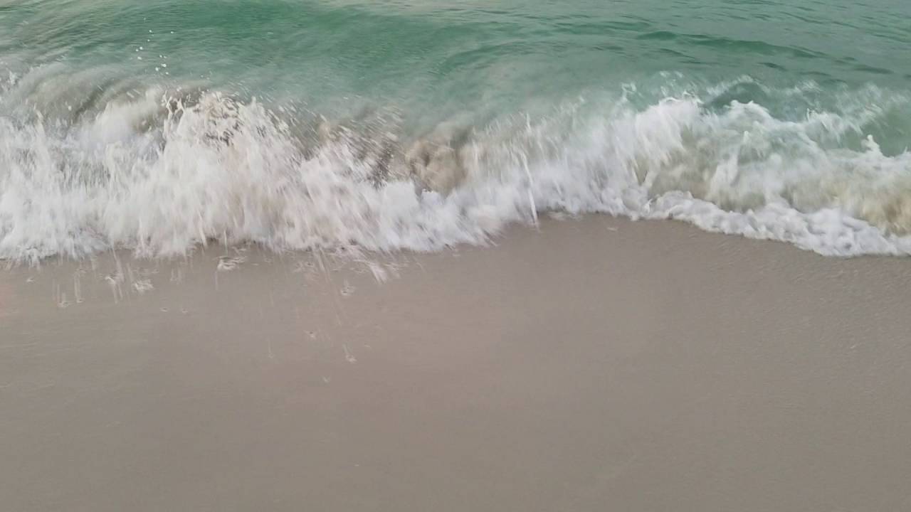 Bait Fish Swept by Waves at Sunrise - YouTube