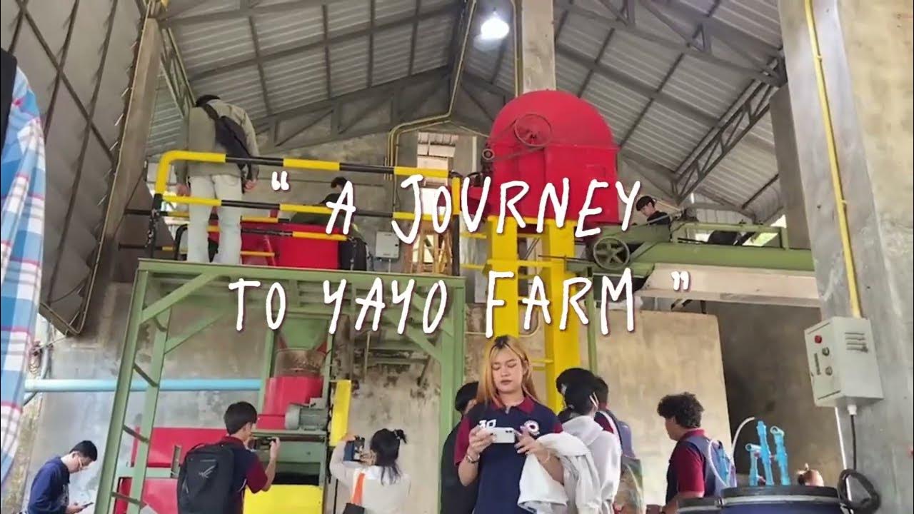 A JOURNEY TO YAYO FARM จากเมล็ดสู่แก้ว | VLOG - YouTube