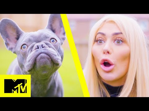 Celebs Vs Pets: Chloe Ferry vs Ivy