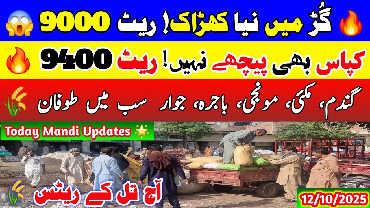 🔥 Big Blast! Gur Rate 9000 Today | Makki, Munji, Wheat, Til, Sarson ...