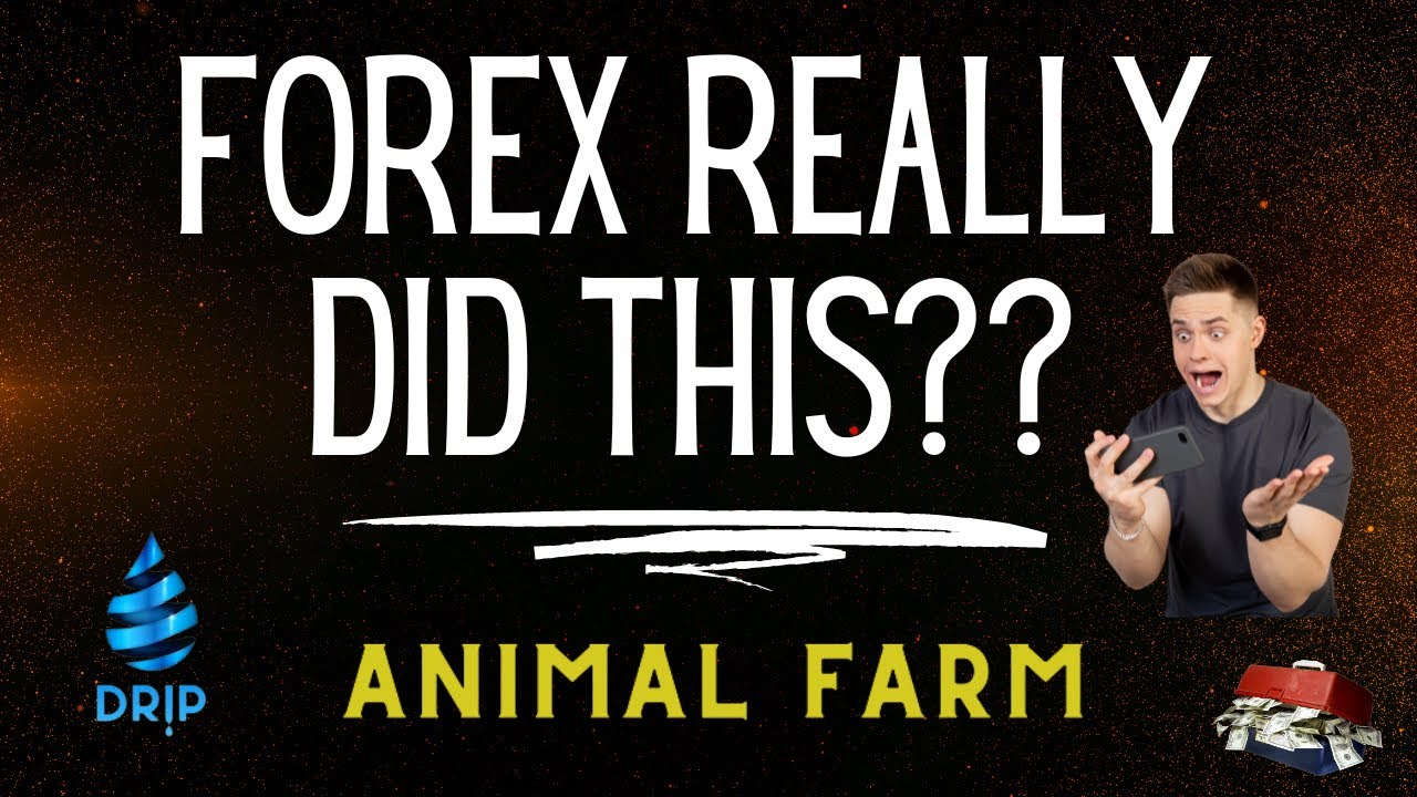 FOREX REALLY DID THIS??? - YouTube