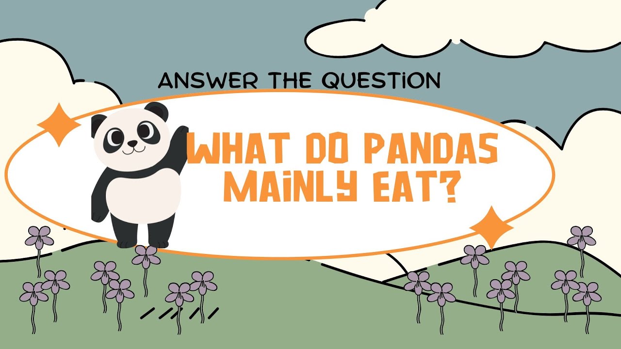 Best QUIZ for Toddlers from a Child Development Expert! #quiz - YouTube