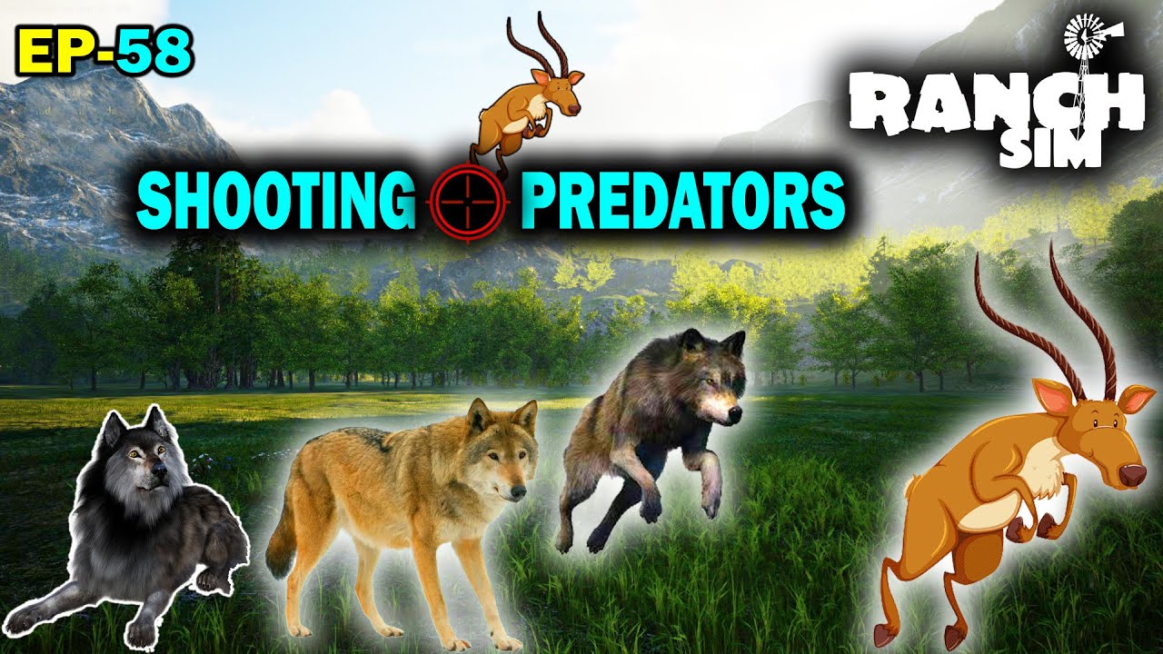 How to Find and Kill Predators | Ranch Simulator | Ep58 - YouTube