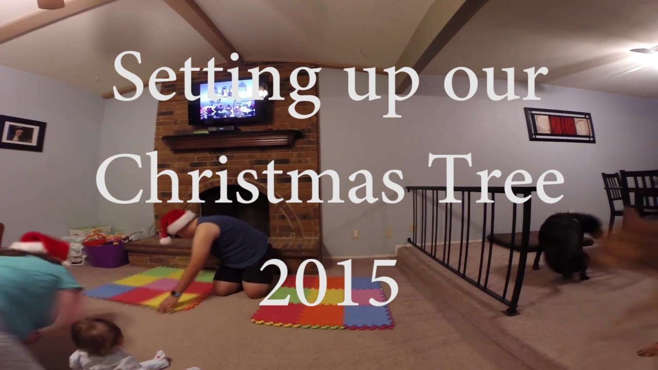Setting up our Christmas Tree 2015 (Time Lapse) - YouTube