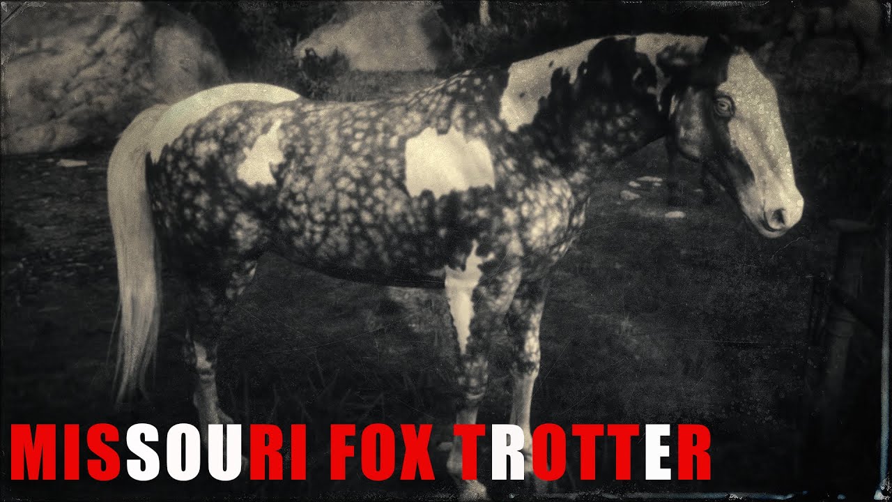 how to get a Missouri fox trotter as early as chapter 2 in rdr2 (no BS ...