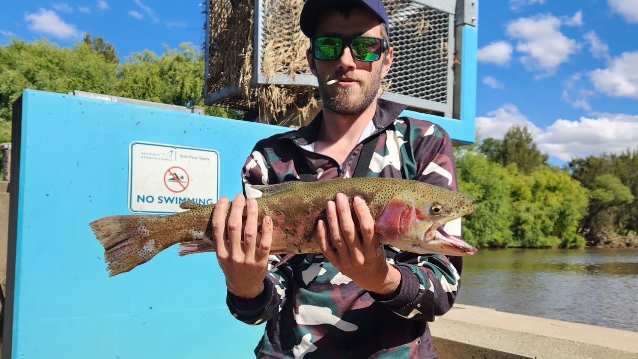 great day fishing at the local River multiple species caught - YouTube
