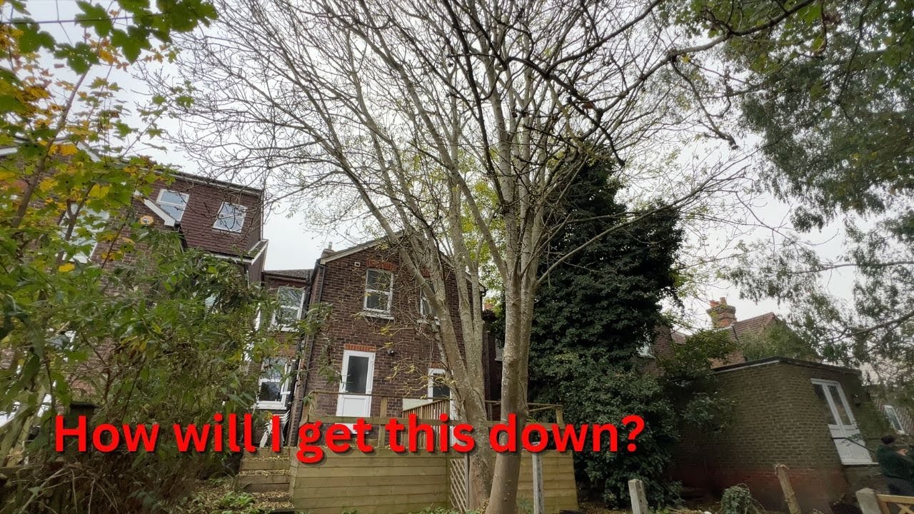 No drop zone, tight access and nowhere to park how will we do it ...