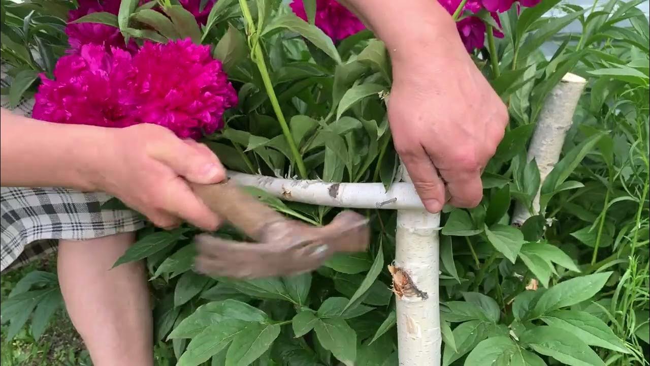 Подпорка под пионы своими руками, легко и просто - YouTube