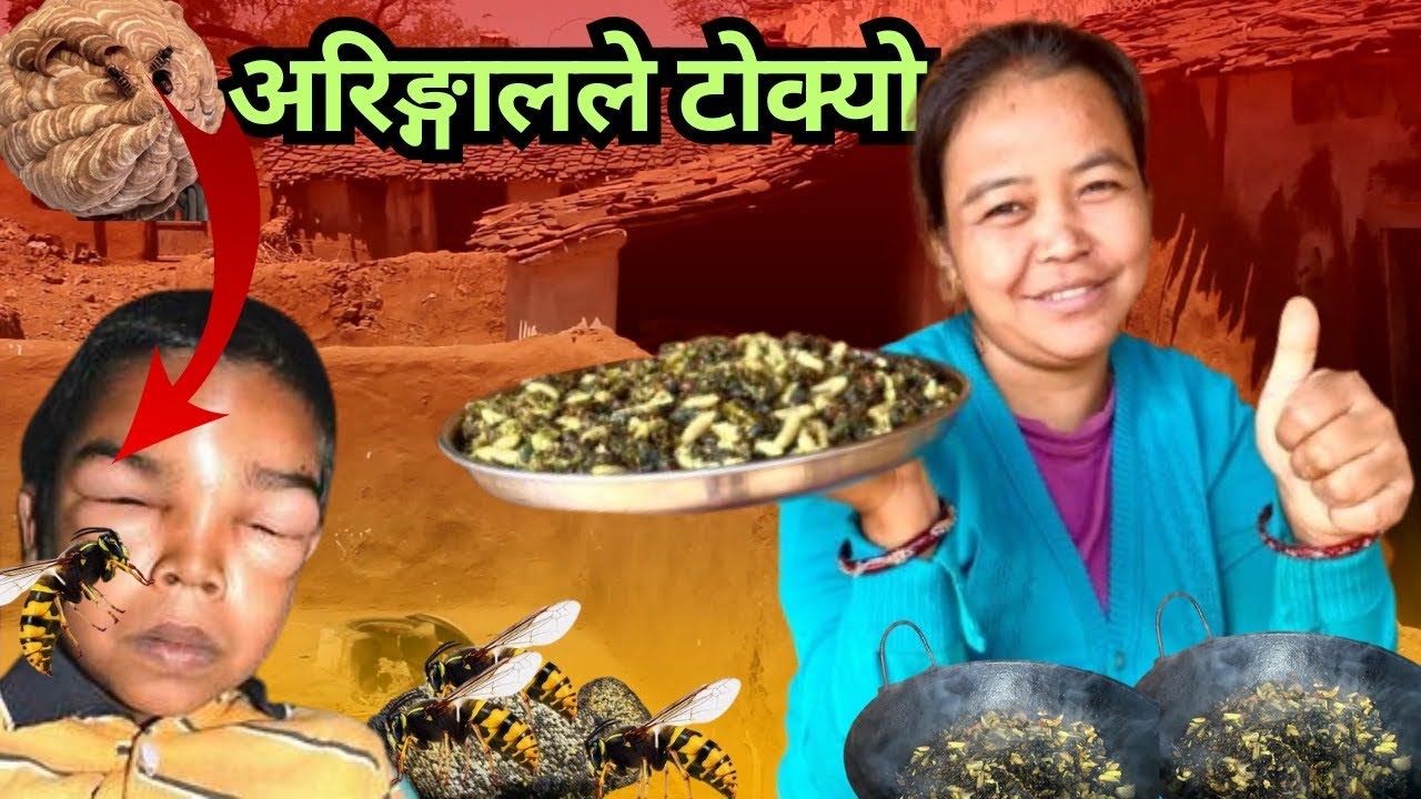Nepali Parikar Yo Dasaima Kayo Aringolko Parikar 😱😱🐝🐝 - YouTube