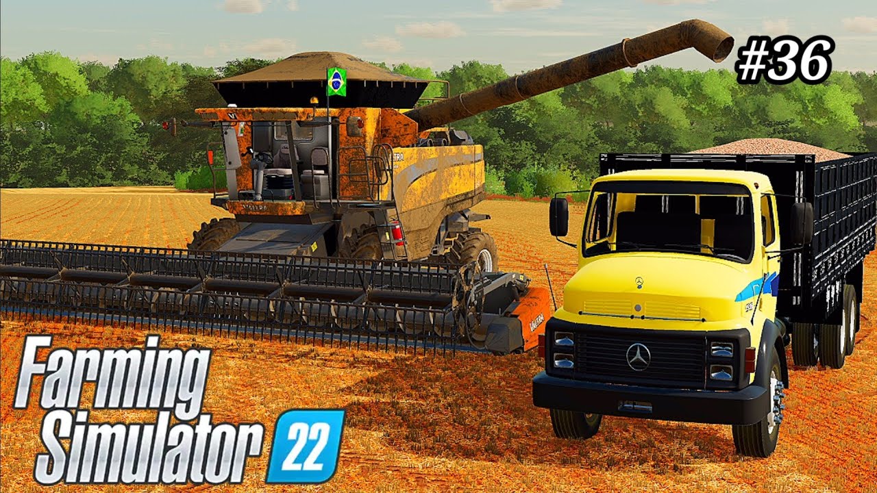 Safra do Feijão finalizada//Sitio Santo Inácio//Farming Simulator 22 ...