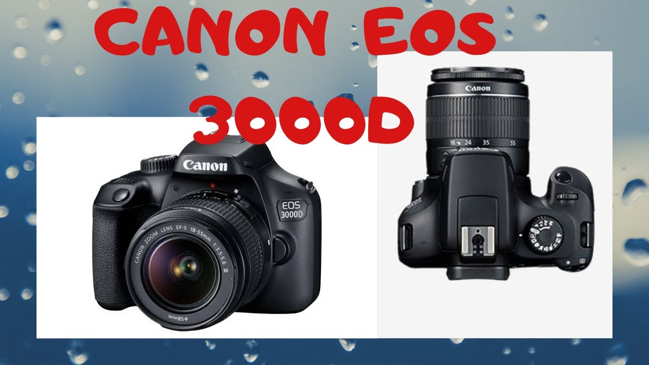 Canon 3000 D New camera for my vlog - YouTube